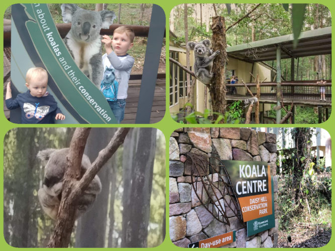 Eagle Tree Park, Coomera – Fun Things for Toddlers