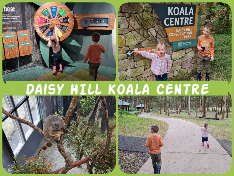 Daisy Hill Koala Centre – Fun Things for Toddlers