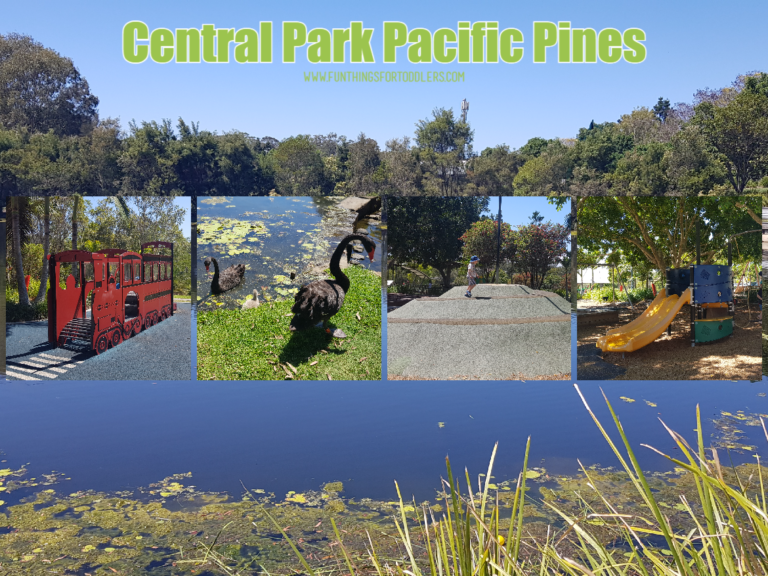Pacific Pines Central Park – Fun Things for Toddlers