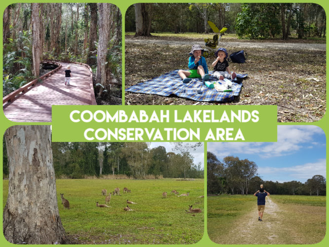 Coombabah Lakelands Conservation Area – Fun Things for Toddlers