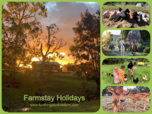 Farmstay Holidays – Fun Things for Toddlers
