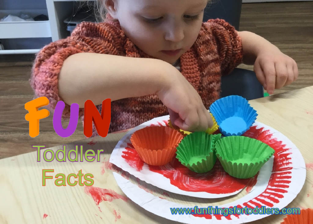 Fun Toddler Facts – Fun Things for Toddlers