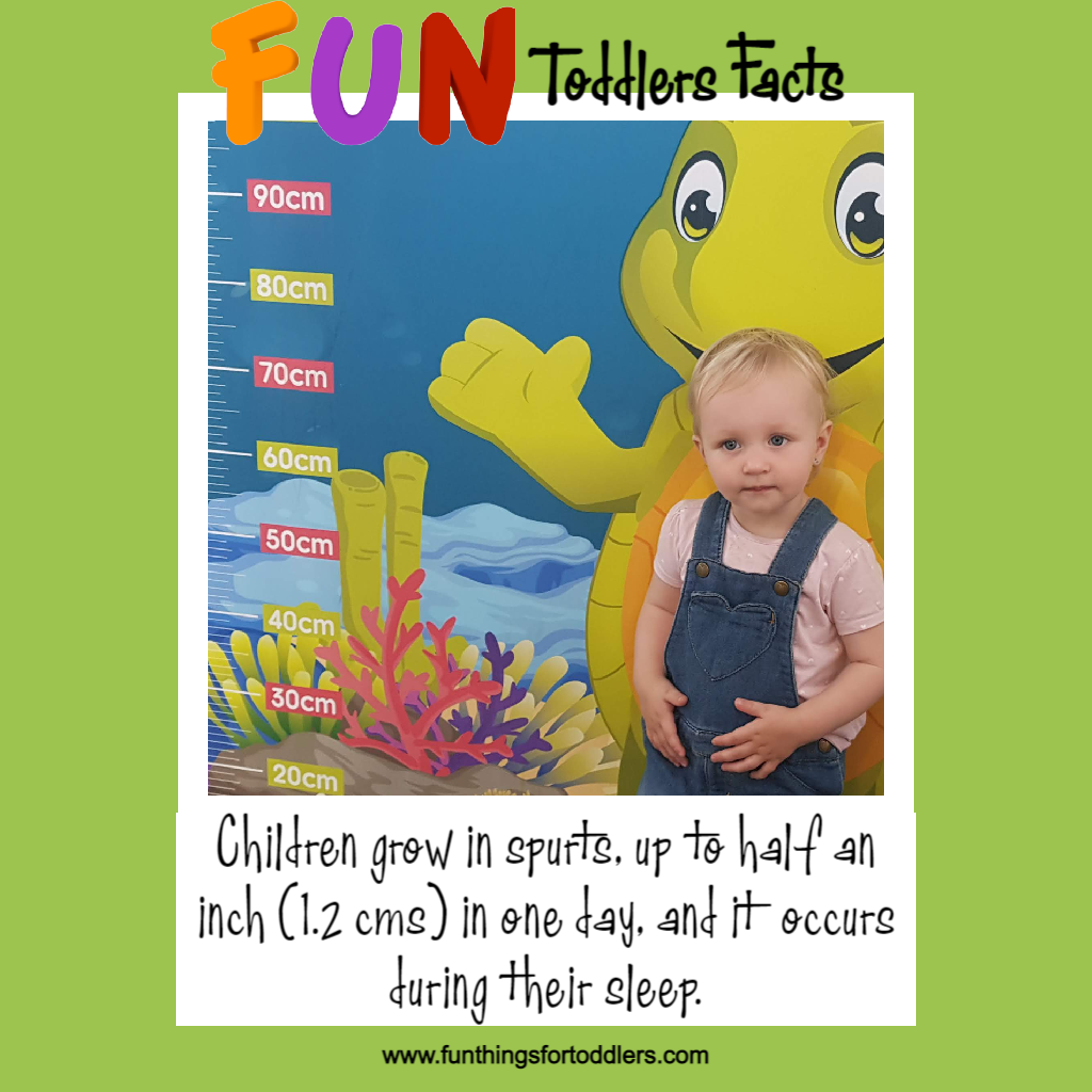 Fun Toddler Facts – Fun Things for Toddlers